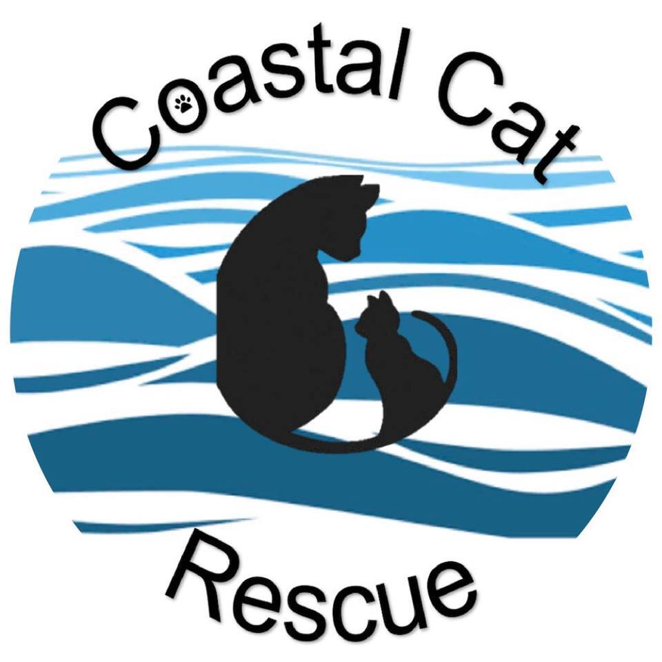 Our Care Causes - Gattung Foundation